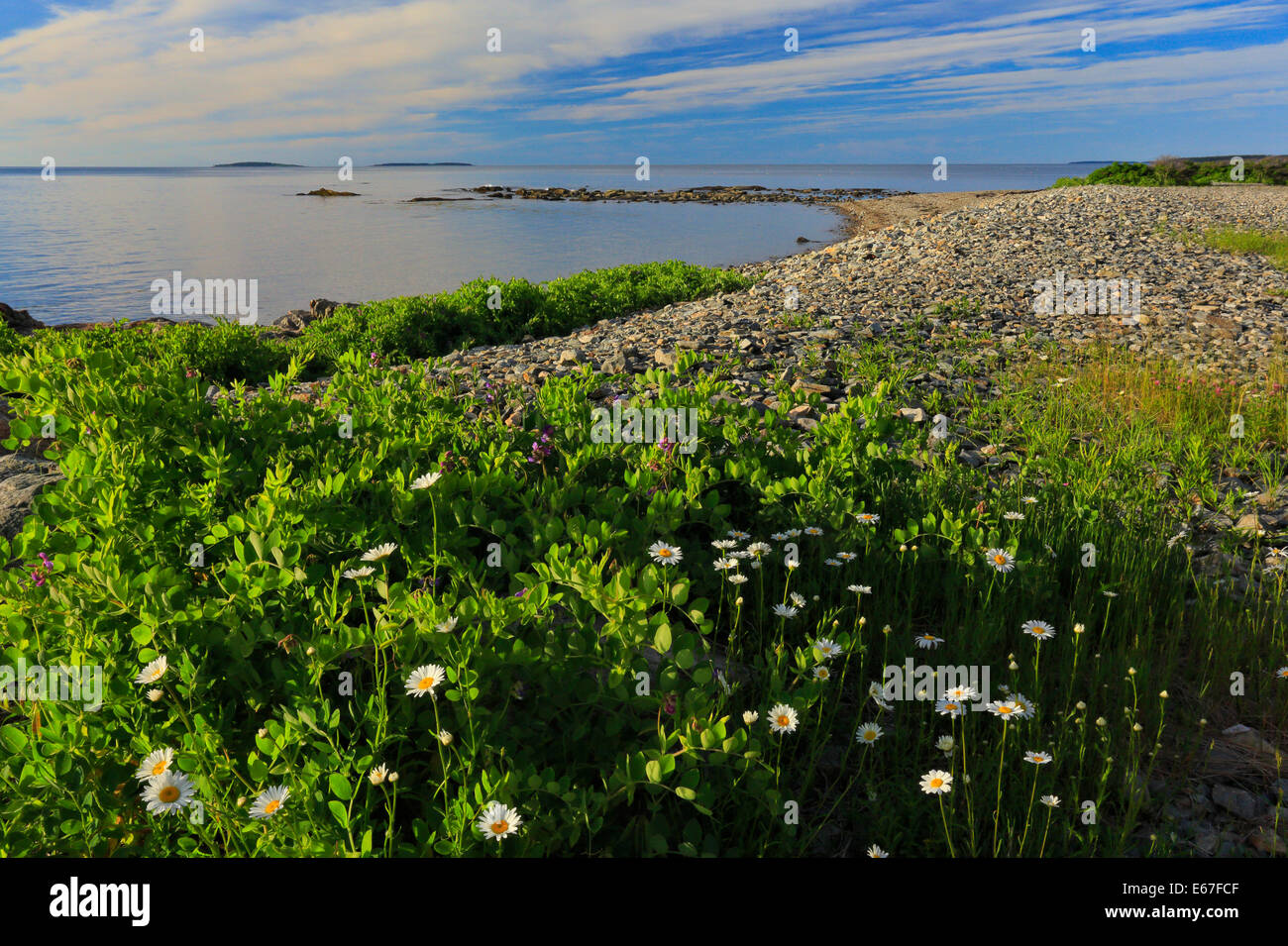 Seawall acadia national park hi-res stock photography and images - Alamy