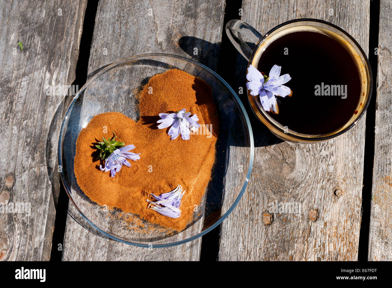 chicory powder as heart shape on plate with chicory flowers and chicory ...