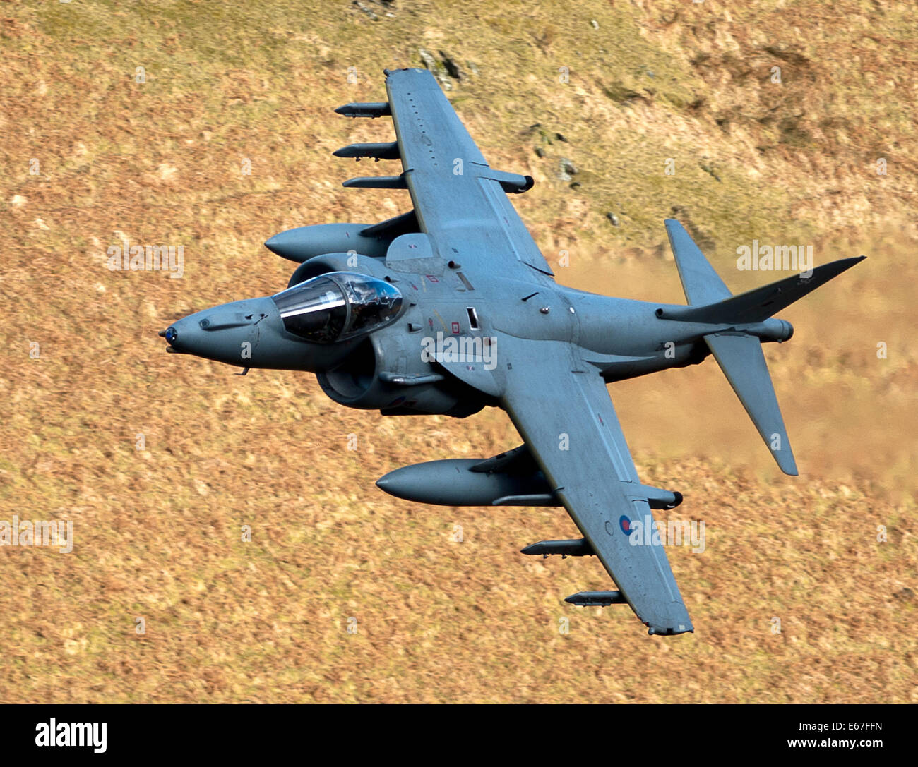 In RAF service, Harriers are used in the ground attack and ...