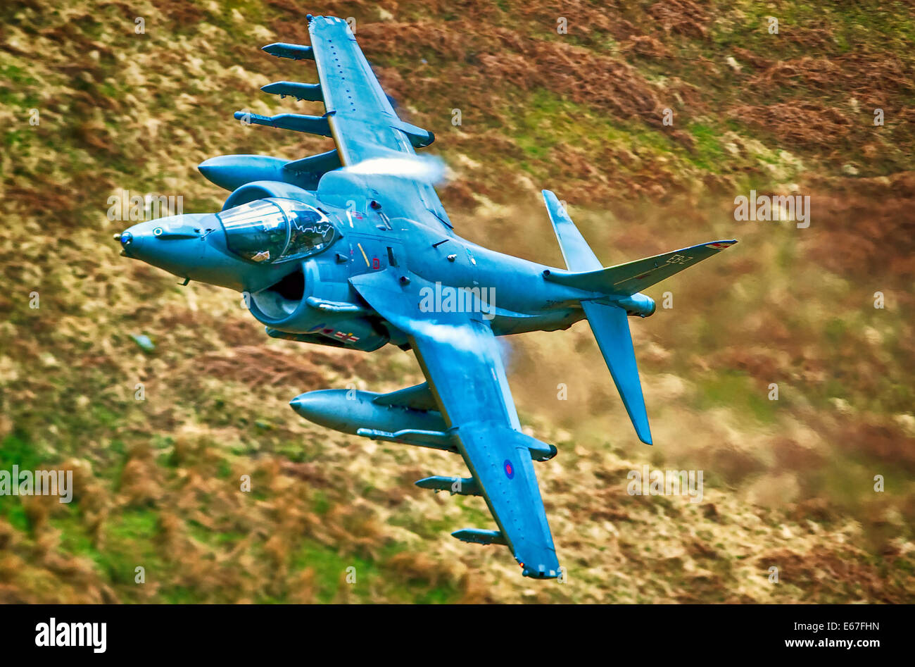 In RAF service, Harriers are used in the ground attack and ...