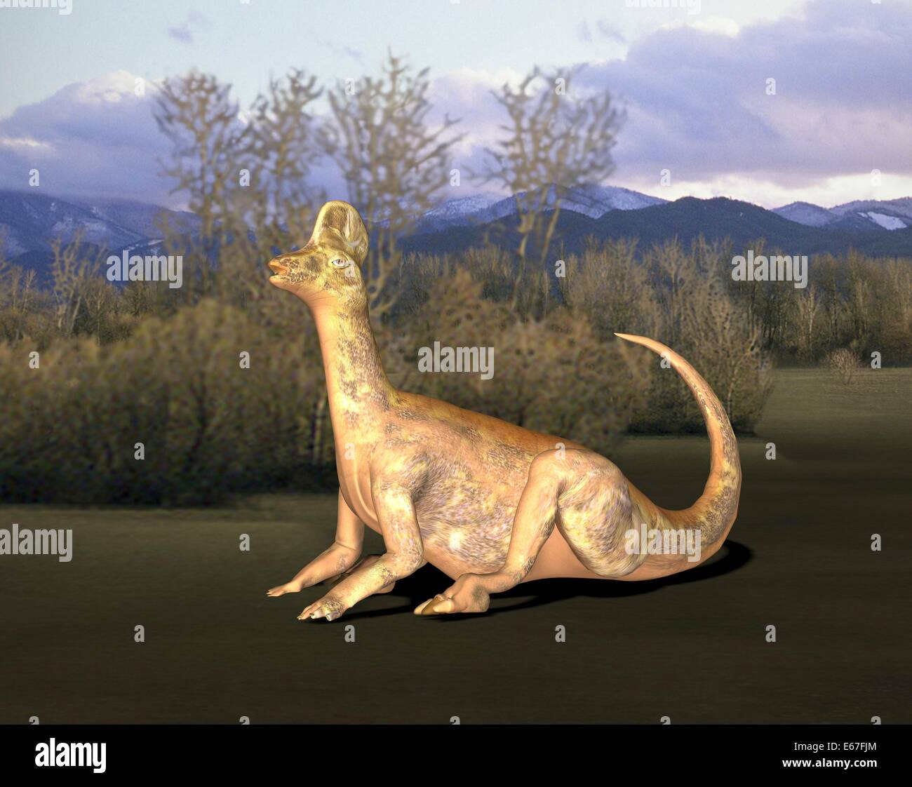 Dinosaurier Corythosaurus / dinosaur Corythosaurus Stock Photo - Alamy