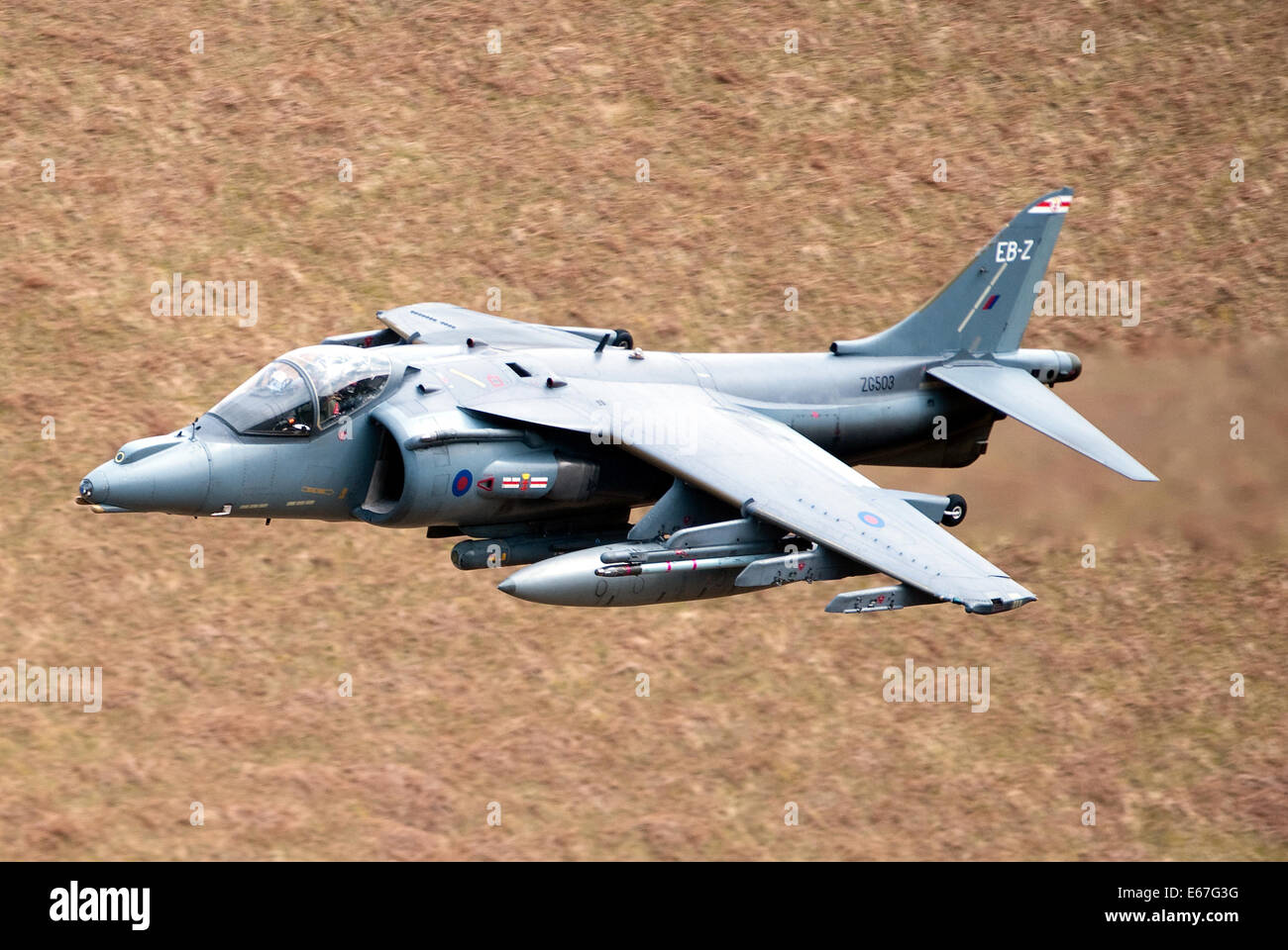 In RAF service, Harriers are used in the ground attack and ...