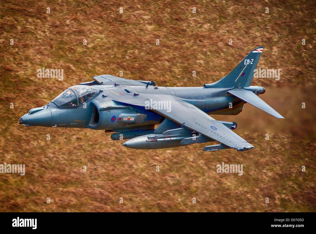 Harrier aircraft hi-res stock photography and images - Alamy