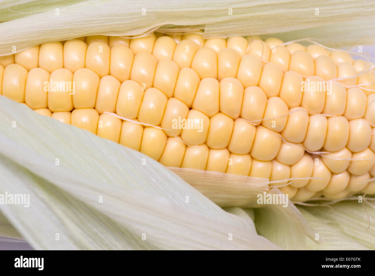 Fresh corn hi-res stock photography and images - Alamy