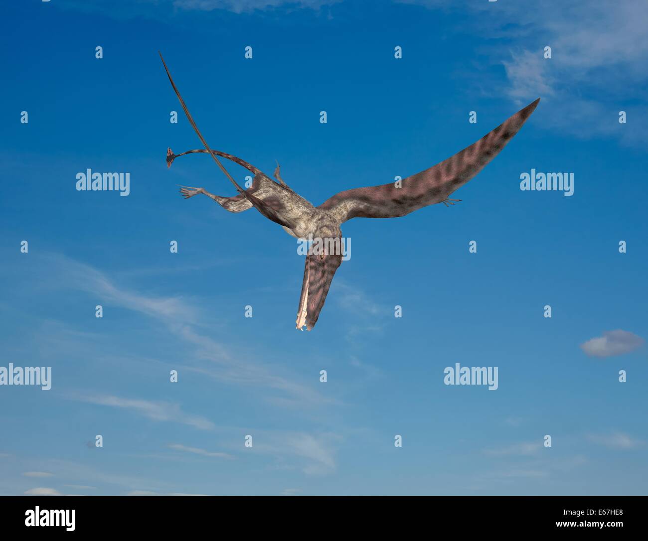 Dimorphodon High Resolution Stock Photography and Images - Alamy