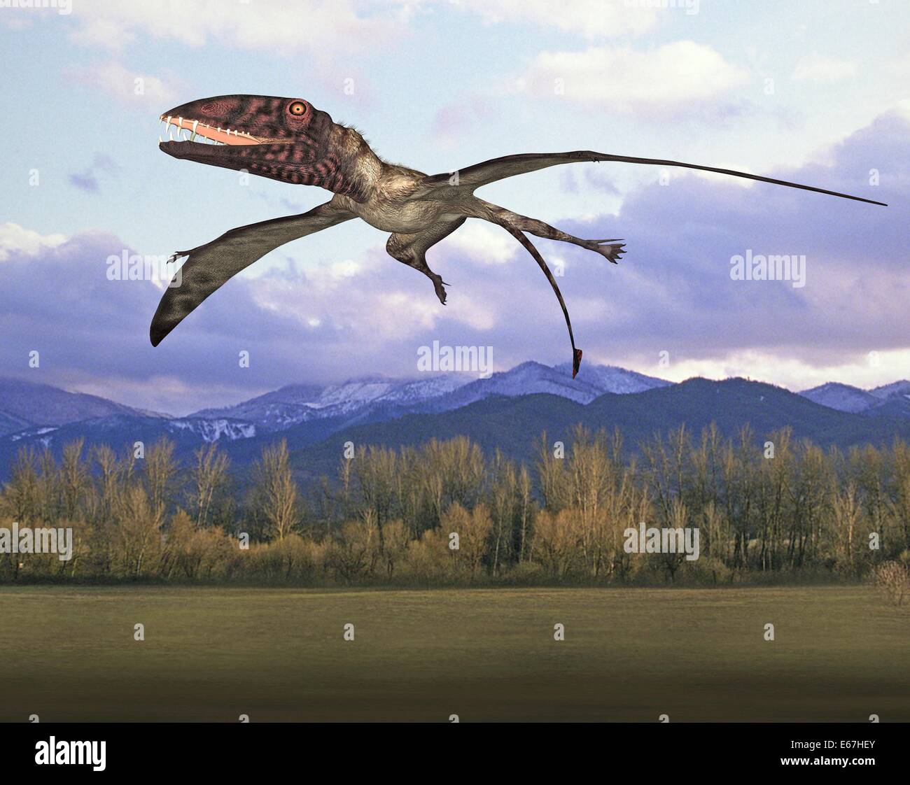 Flying dino hi-res stock photography and images - Alamy