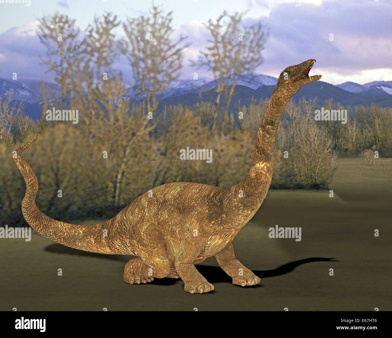 Dinosaurier Diplodocus / dinosaur Diplodocus Stock Photo - Alamy