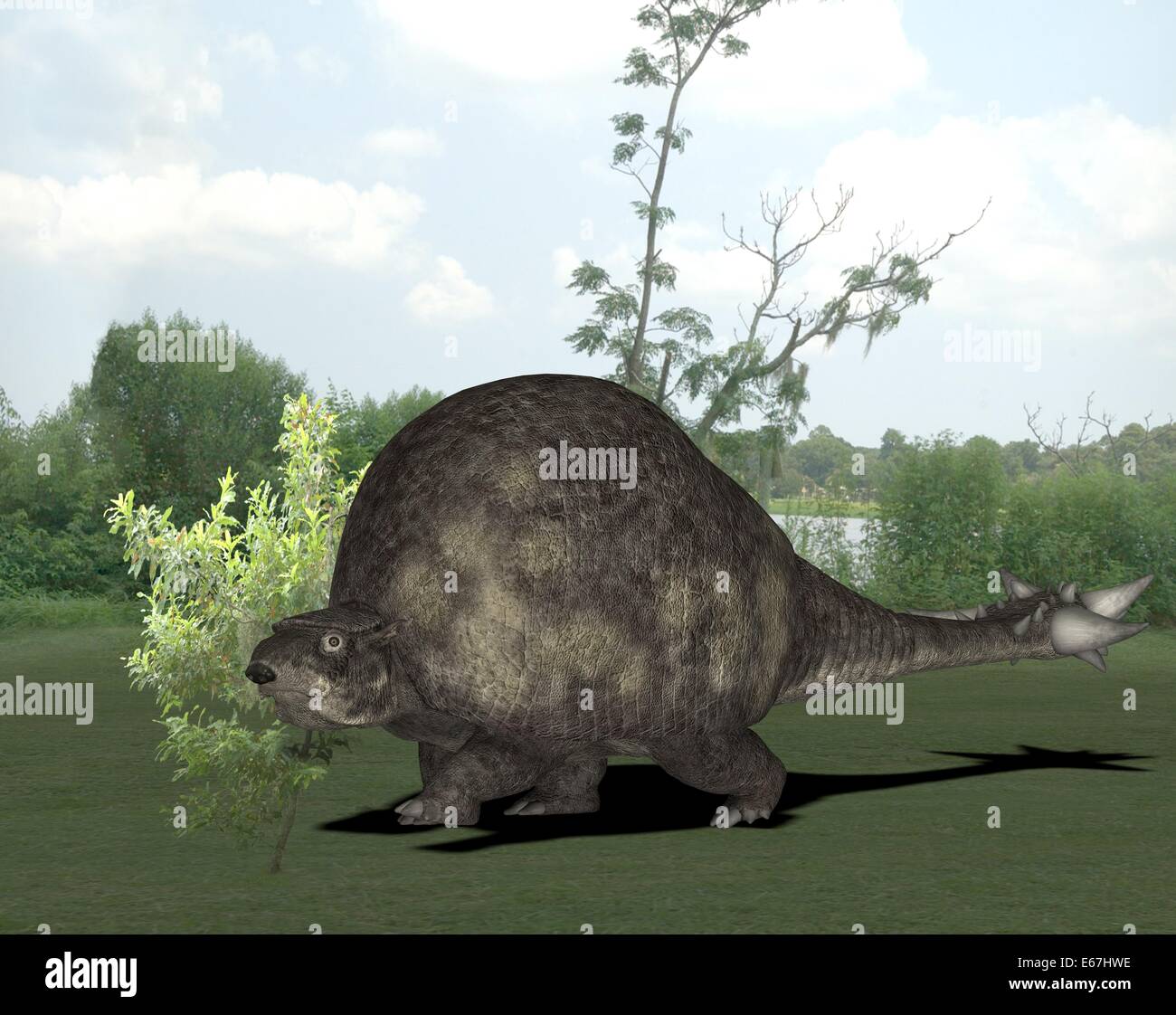 Doedicurus hi-res stock photography and images - Alamy