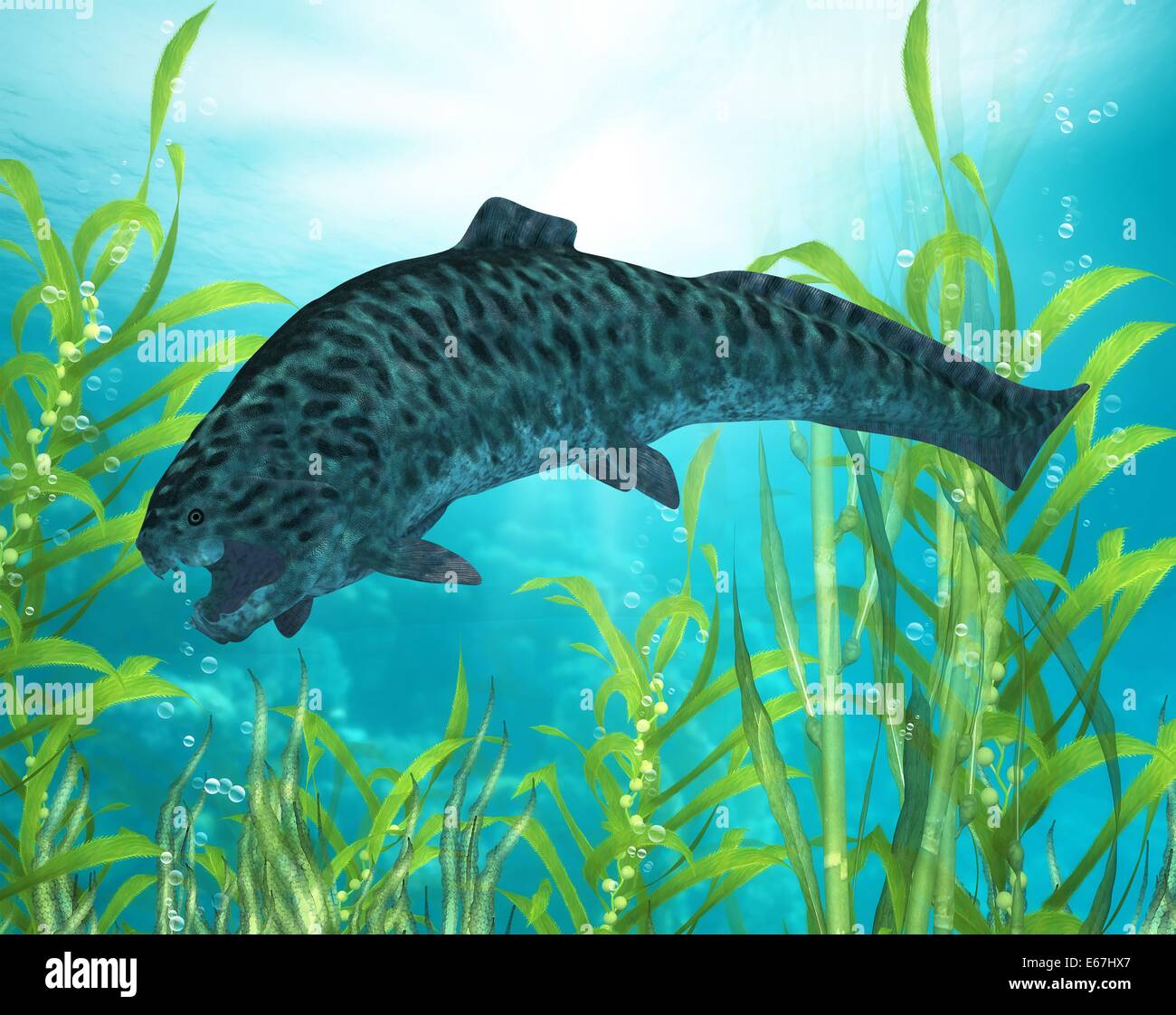 Dunkleosteus / Dunkleosteus Stock Photo - Alamy