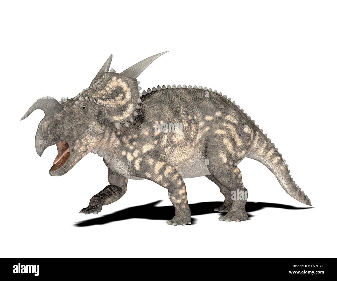 Dinosaurier Einiosaurus / dinosaur Einiosaurus Stock Photo - Alamy