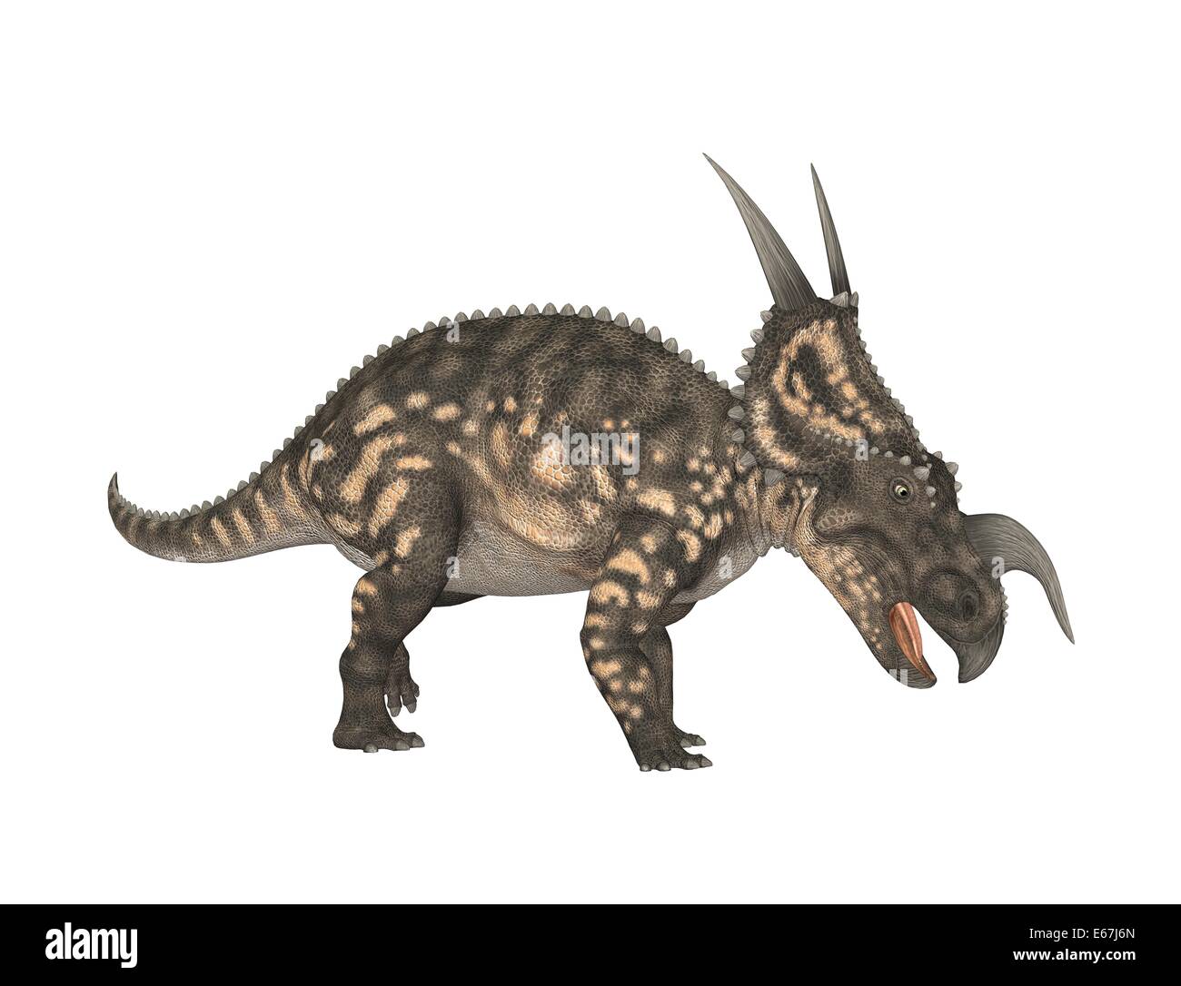 Dinosaurier Einiosaurus / dinosaur Einiosaurus Stock Photo - Alamy