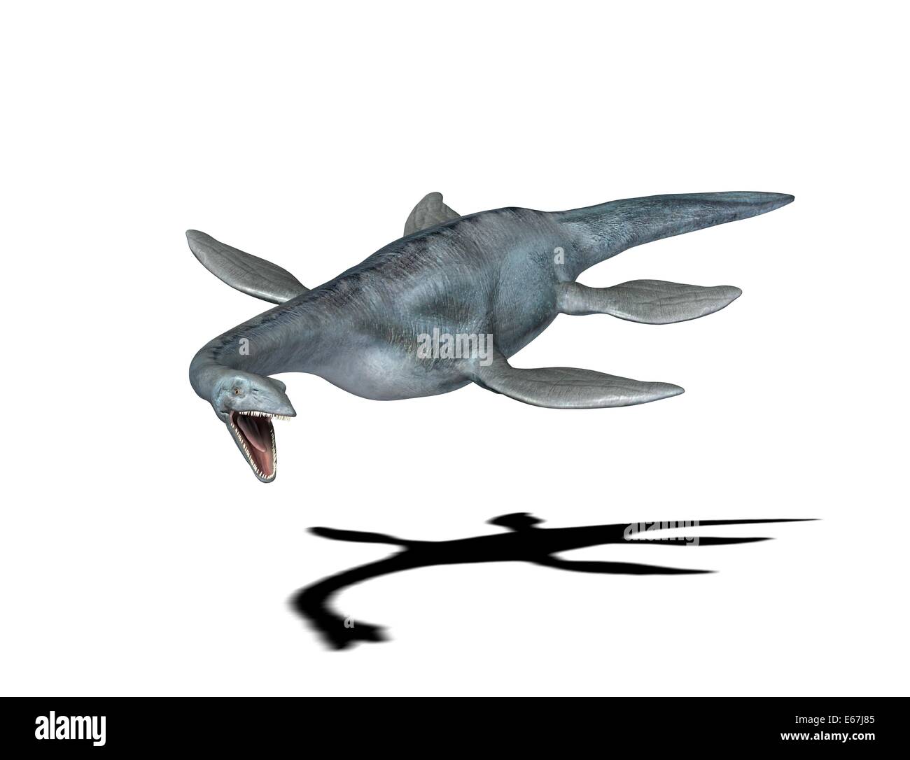 Dinosaurier Elasmosaurus / dinosaur Elasmosaurus Stock Photo - Alamy