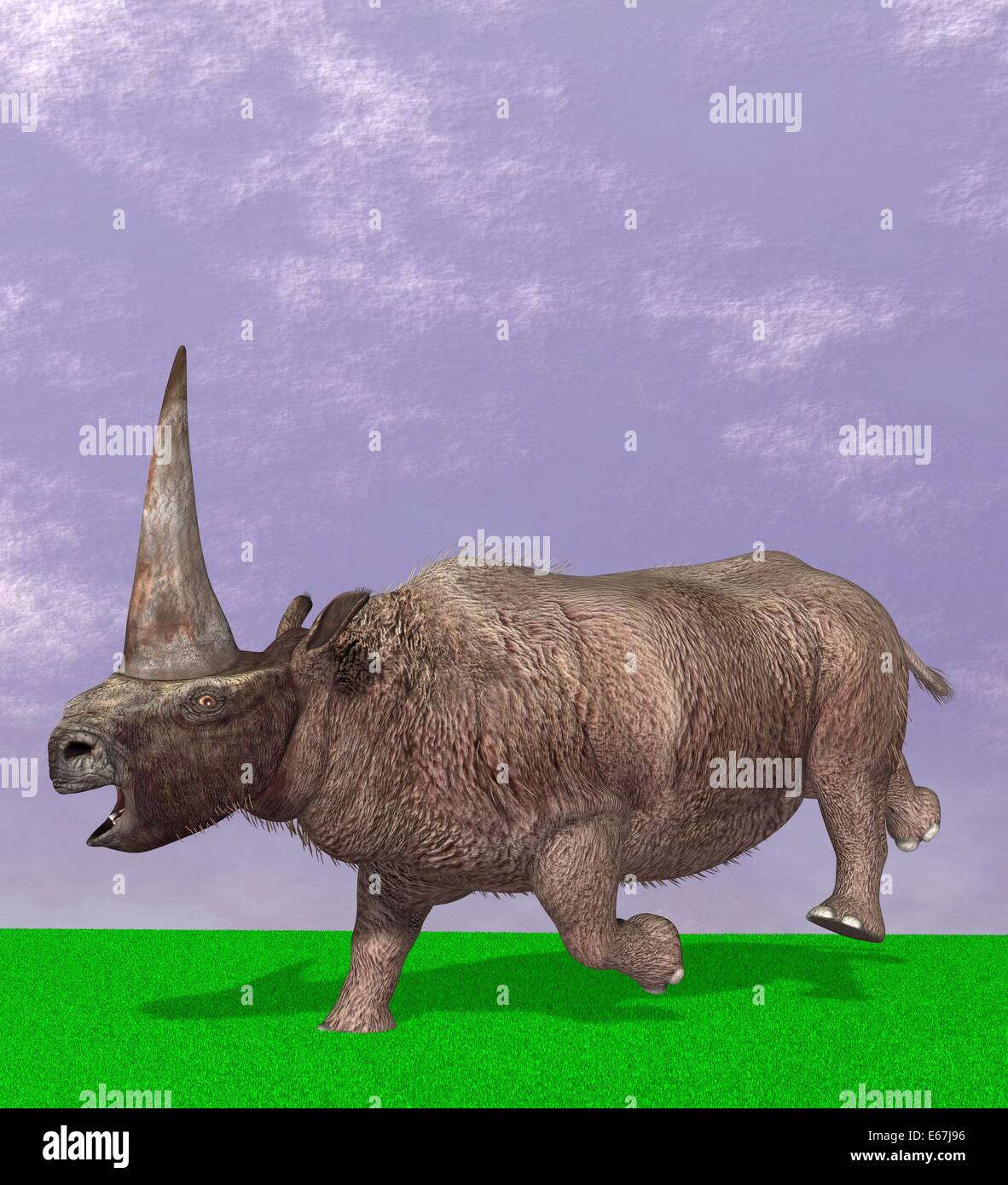 Elasmotherium Skeleton