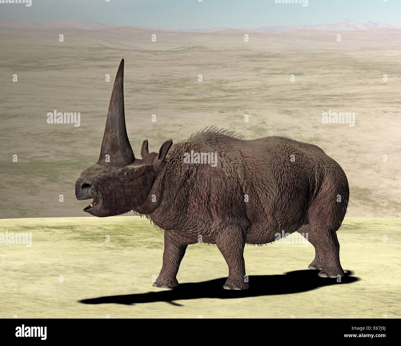 Elasmotherium / Elasmotherium Stock Photo - Alamy