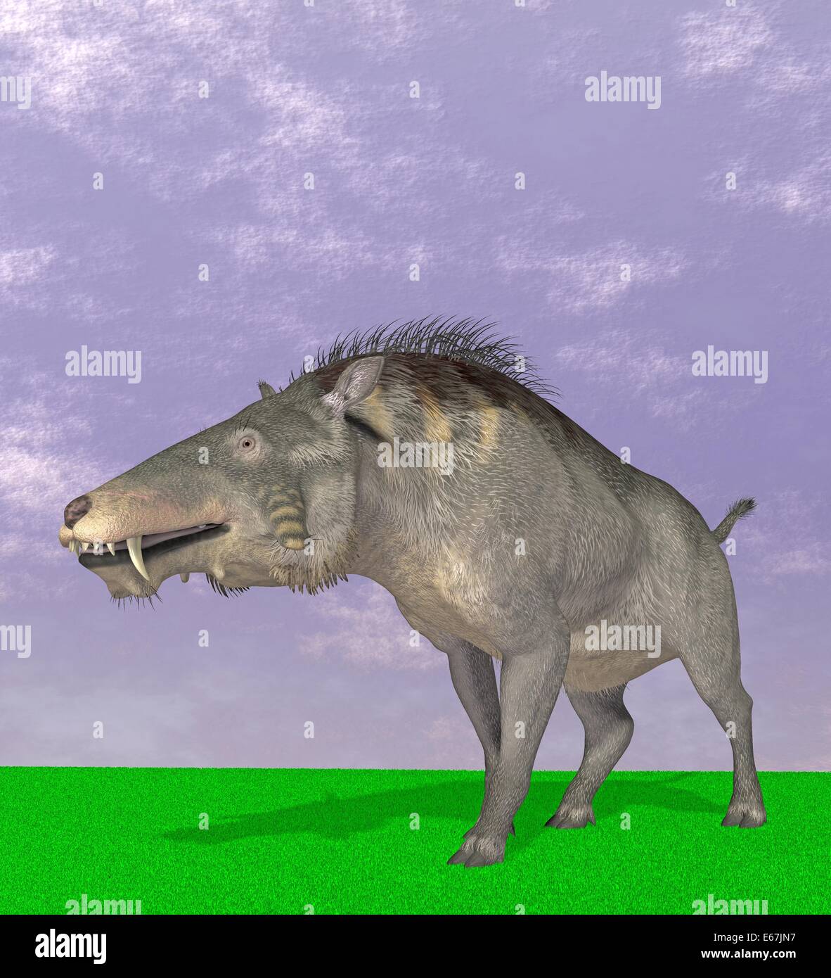 Entelodon Monsters Of The Past