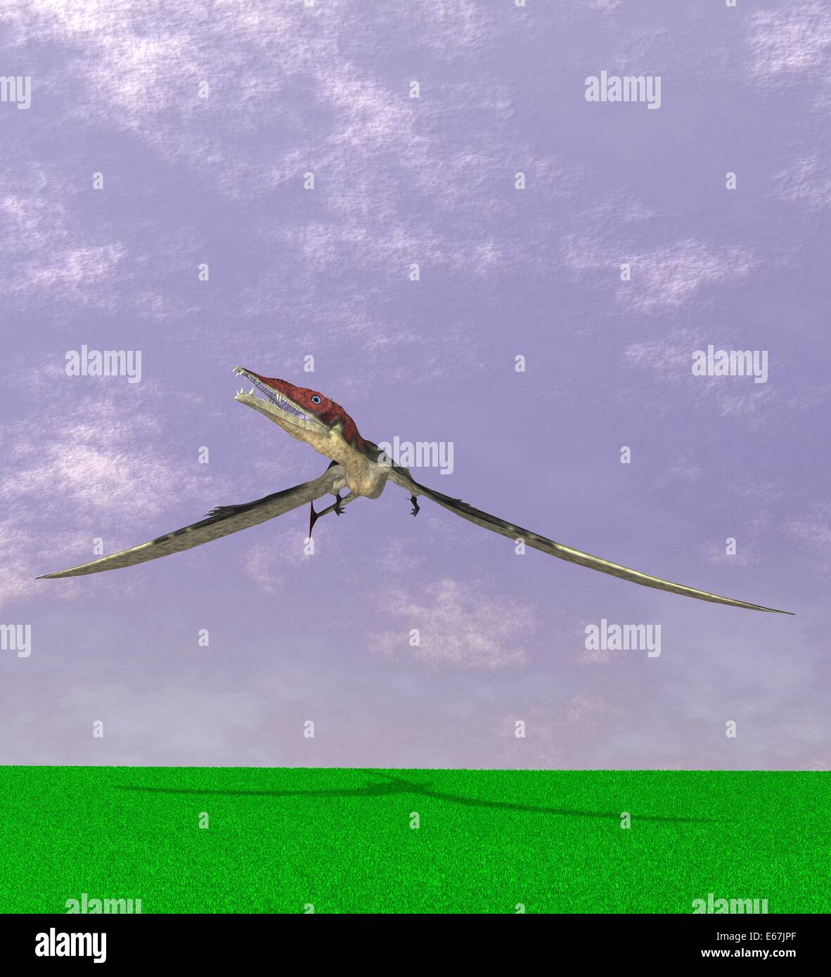 Dinosaurier Eudimorphodon / dinosaur Eudimorphodon Stock Photo - Alamy
