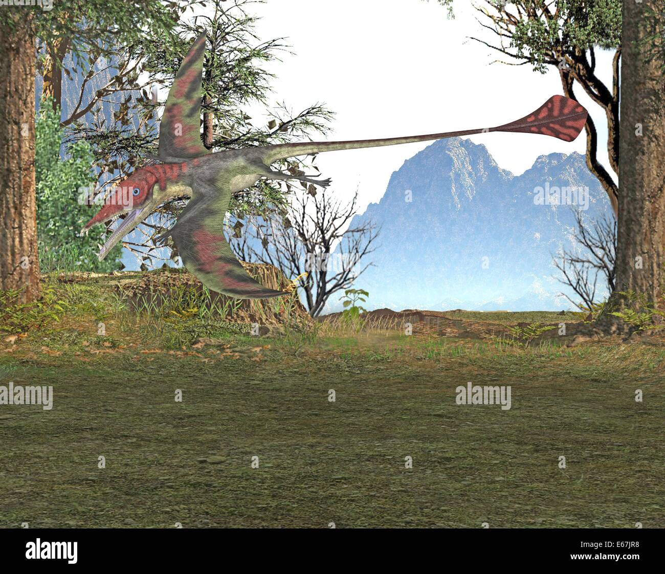 El Esqueleto Eudimorphodon