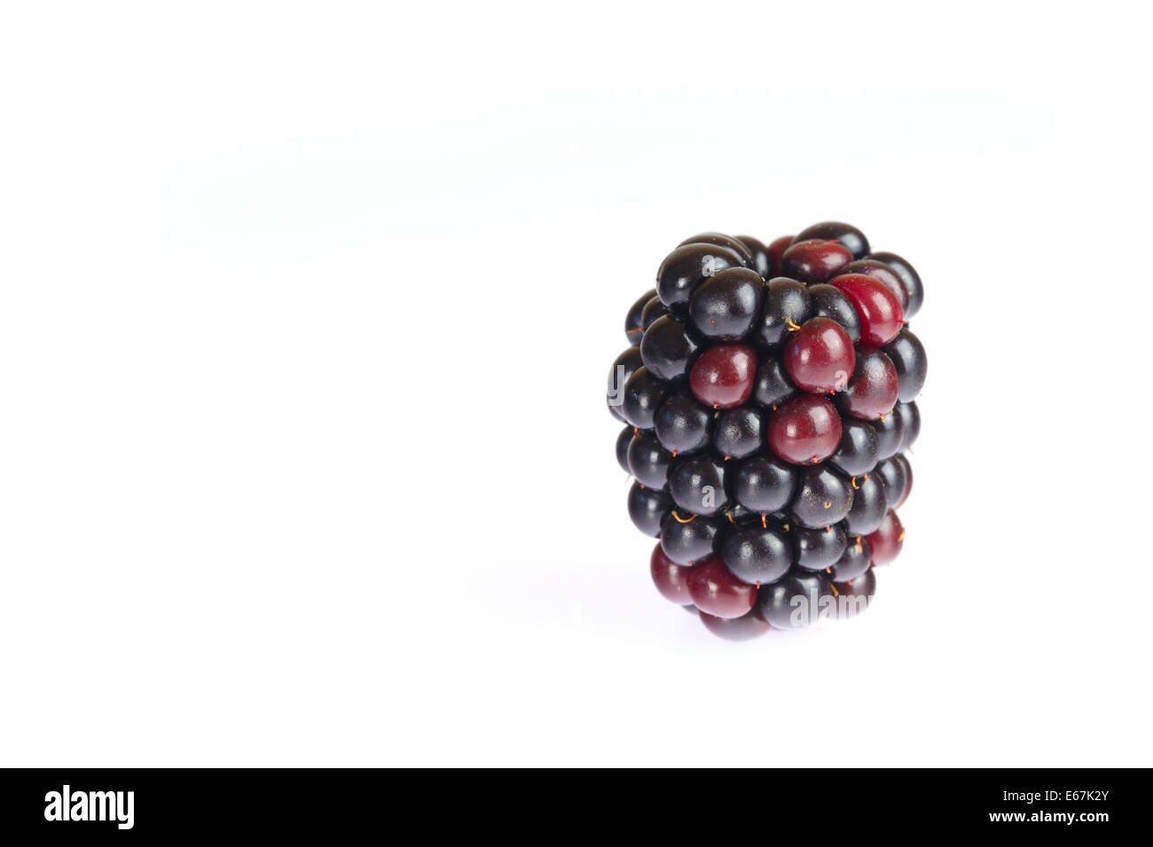 Blackberry isolated on a white background Stock Photo - Alamy