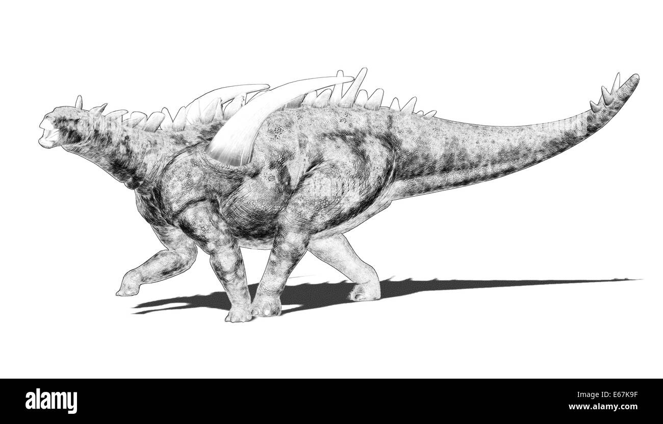 Gigantspinosaurus hi-res stock photography and images - Alamy