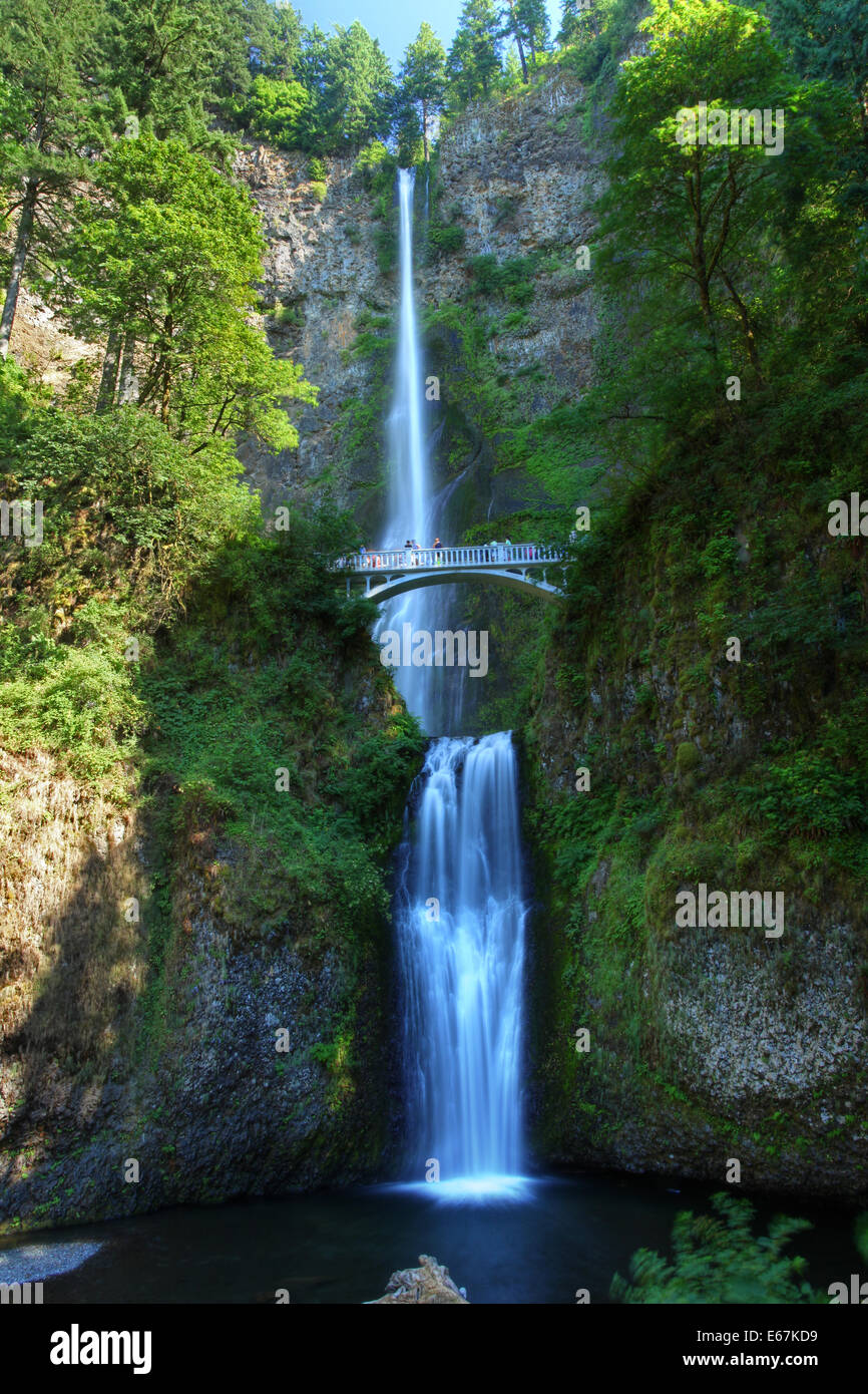 Multnomah Falls in Oregon Stock Photo - Alamy
