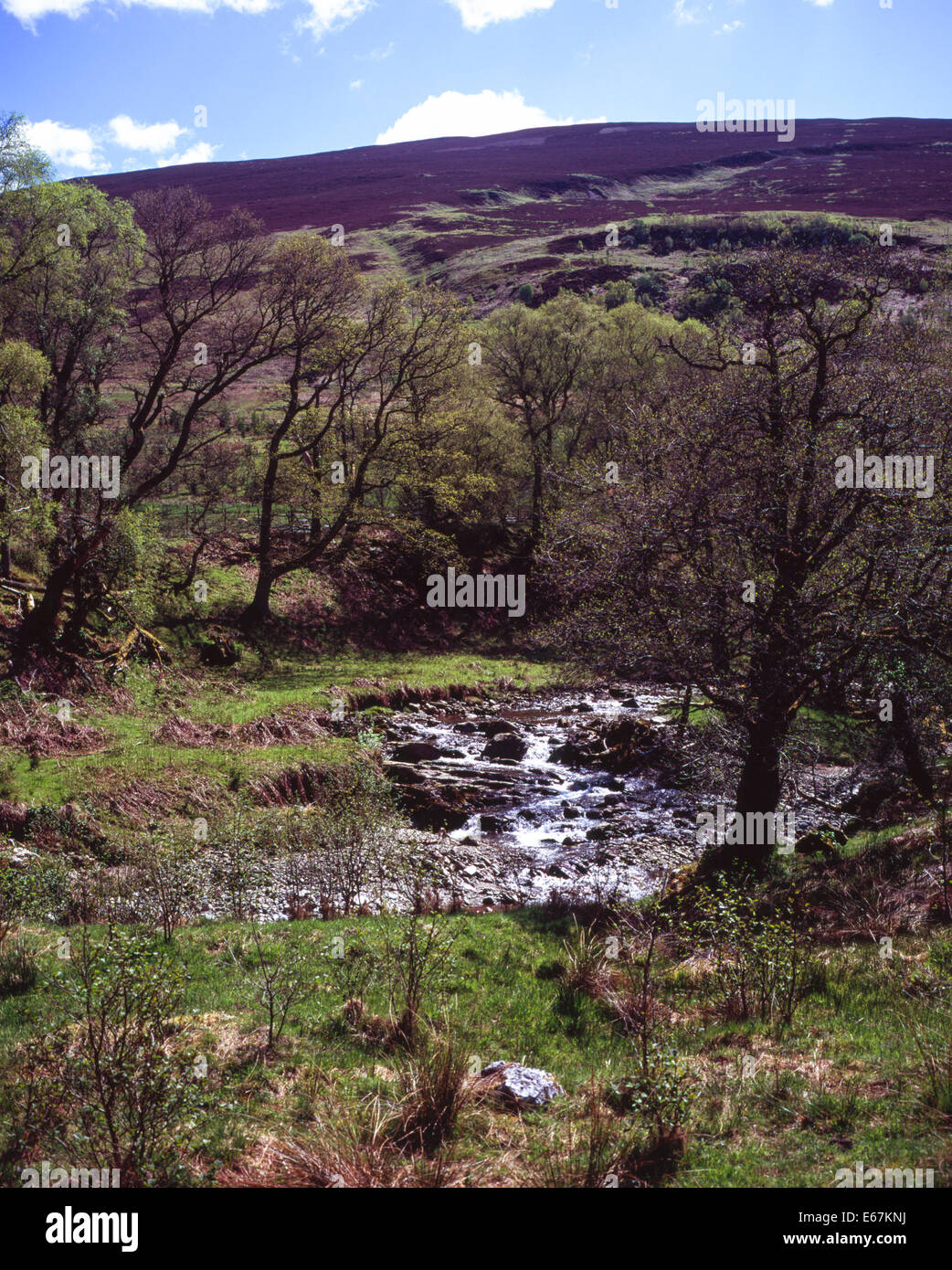 River flowing down Glen Ample toward Loch Earn near Lochearnhead ...