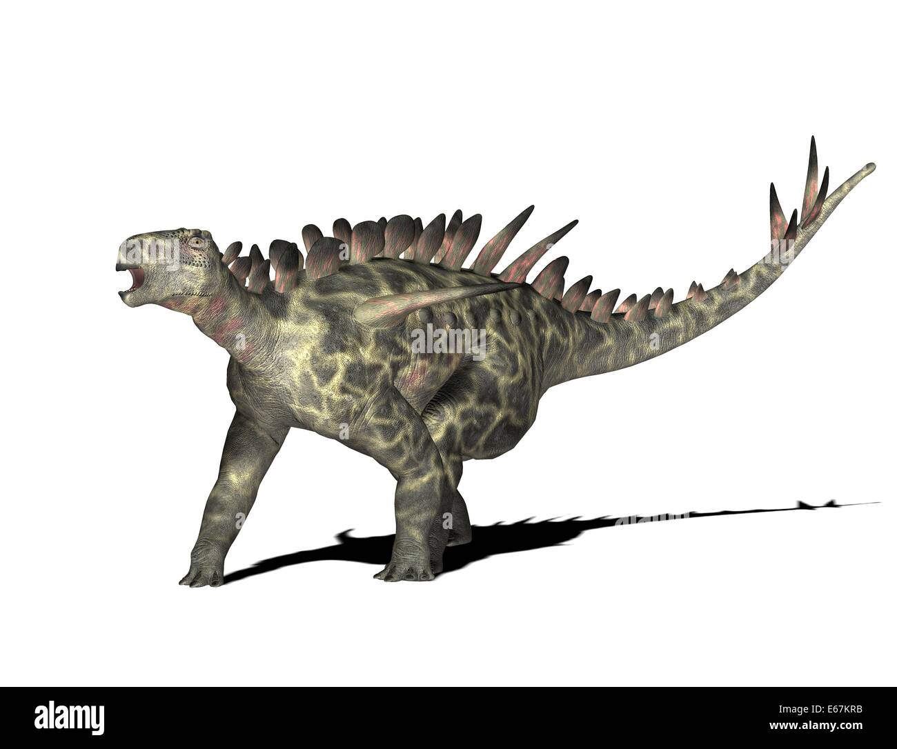 Dinosaurier Huayangosaurus / dinosaur Huayangosaurus Stock Photo - Alamy