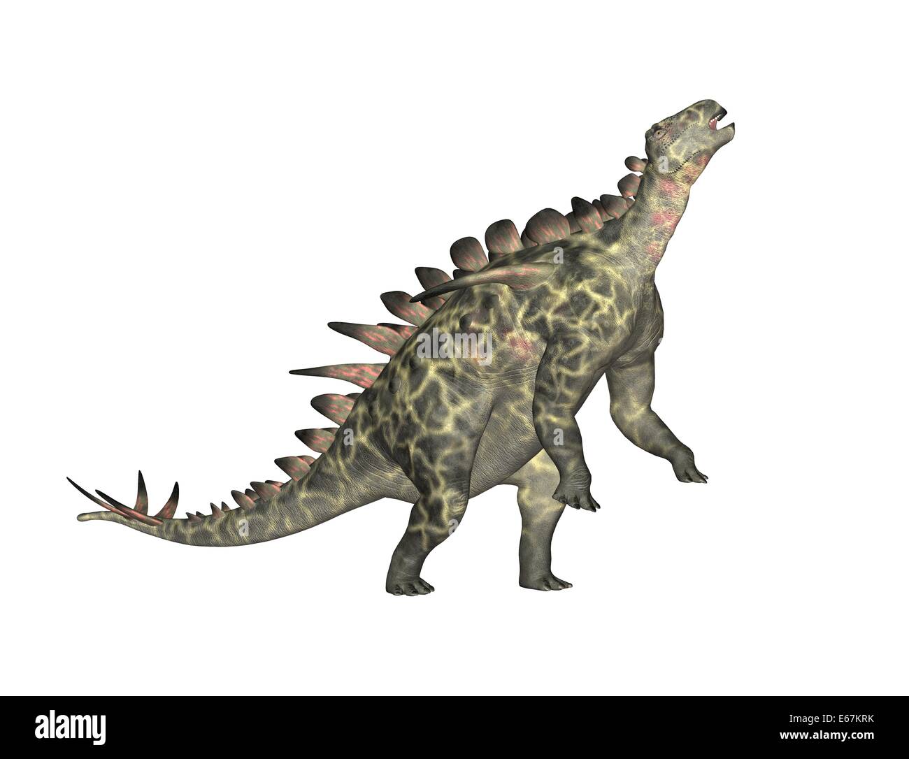 Dinosaurier Huayangosaurus / dinosaur Huayangosaurus Stock Photo - Alamy