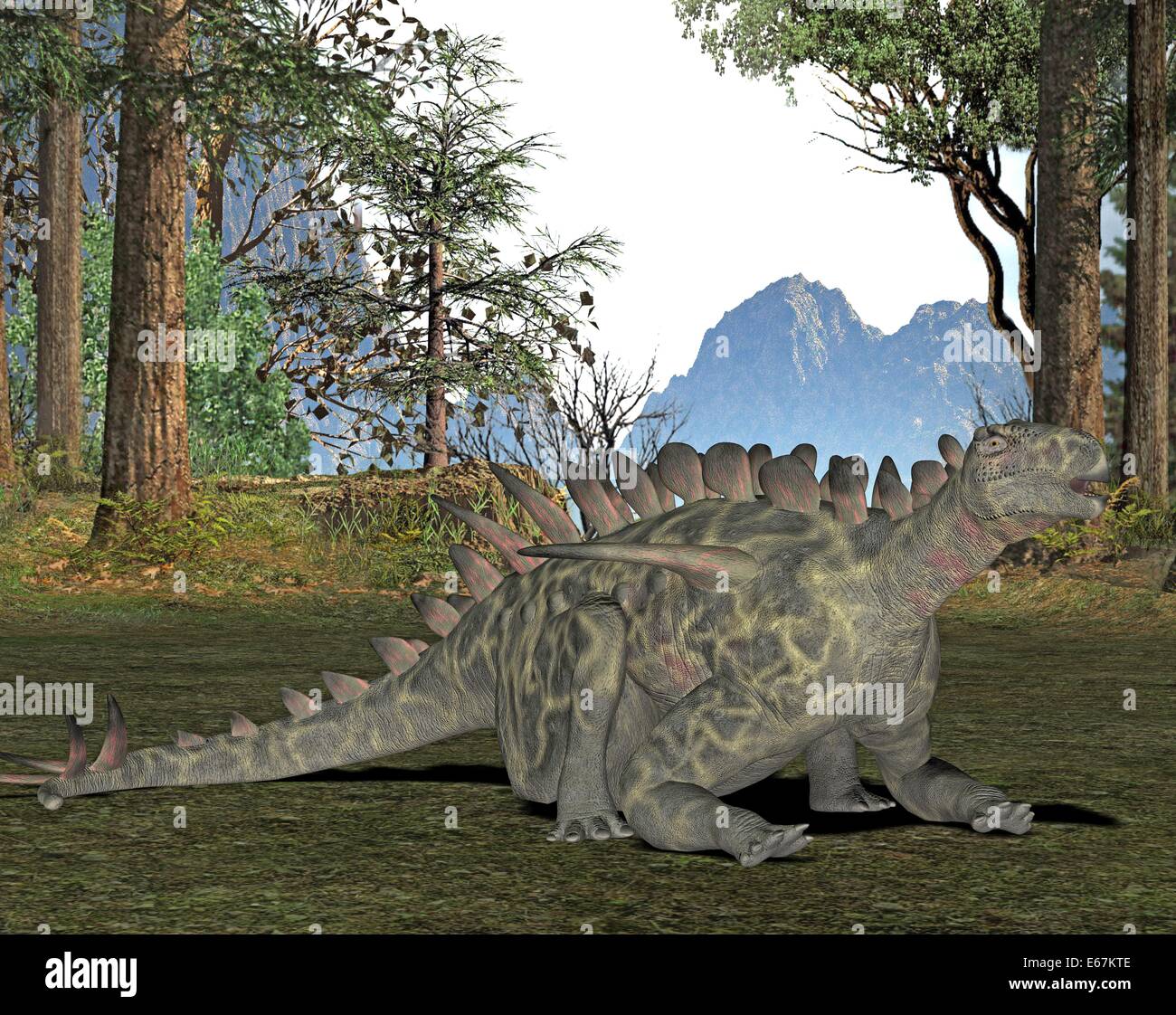 Zoology artwork hi-res stock photography and images - Alamy