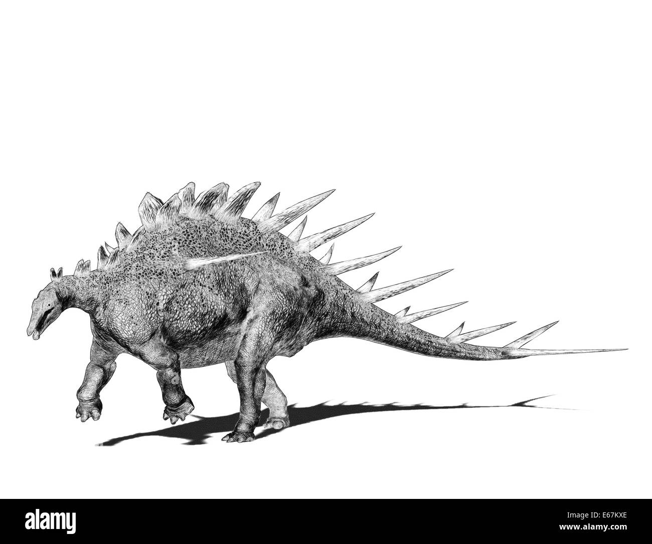 Dinosaurier Kentrosaurus / dinosaur Kentrosaurus Stock Photo - Alamy