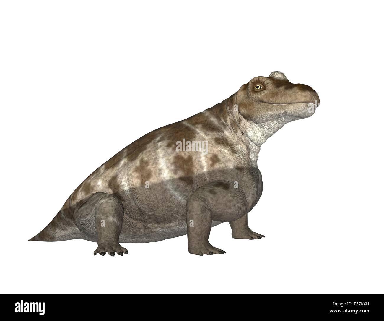 Dinosaurier Keratocephalus / dinosaur Keratocephalus Stock Photo - Alamy