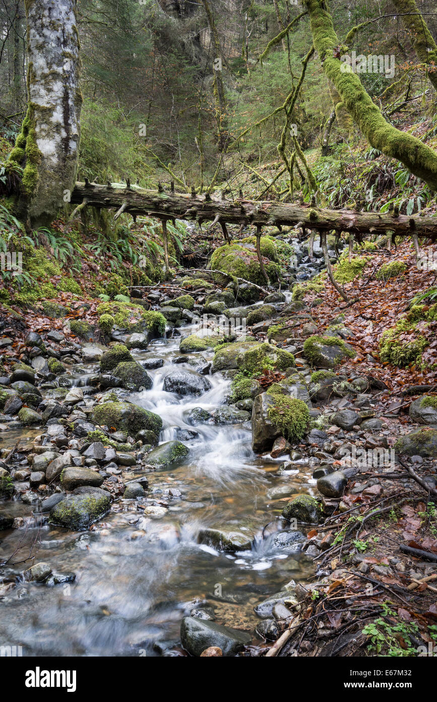 Stream scotland highlands moss hi-res stock photography and images - Alamy
