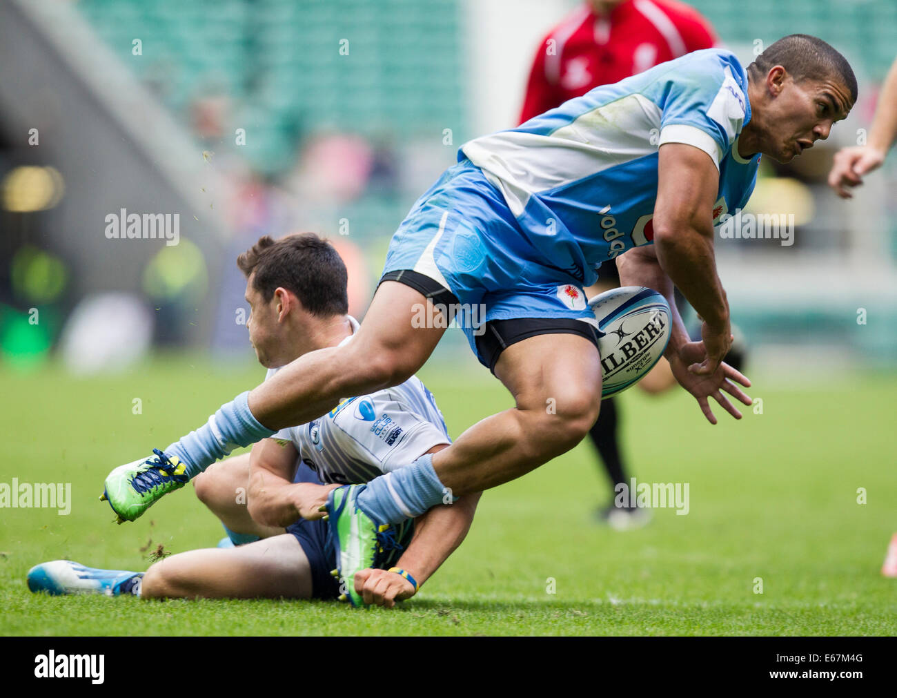 Vodacom blue bulls hi-res stock photography and images - Alamy