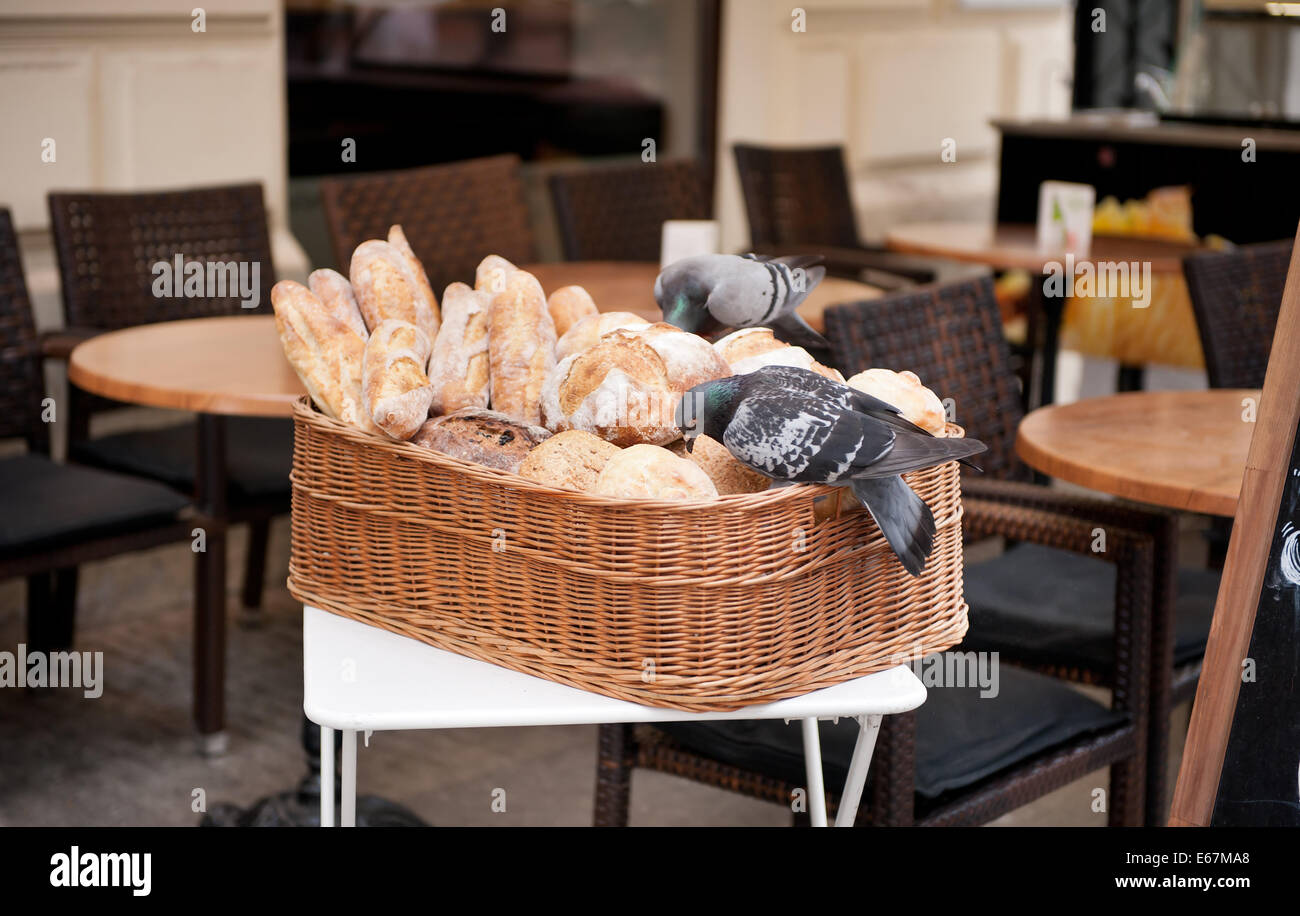 Two hungry pigeons eating bread Stock Photo - Alamy