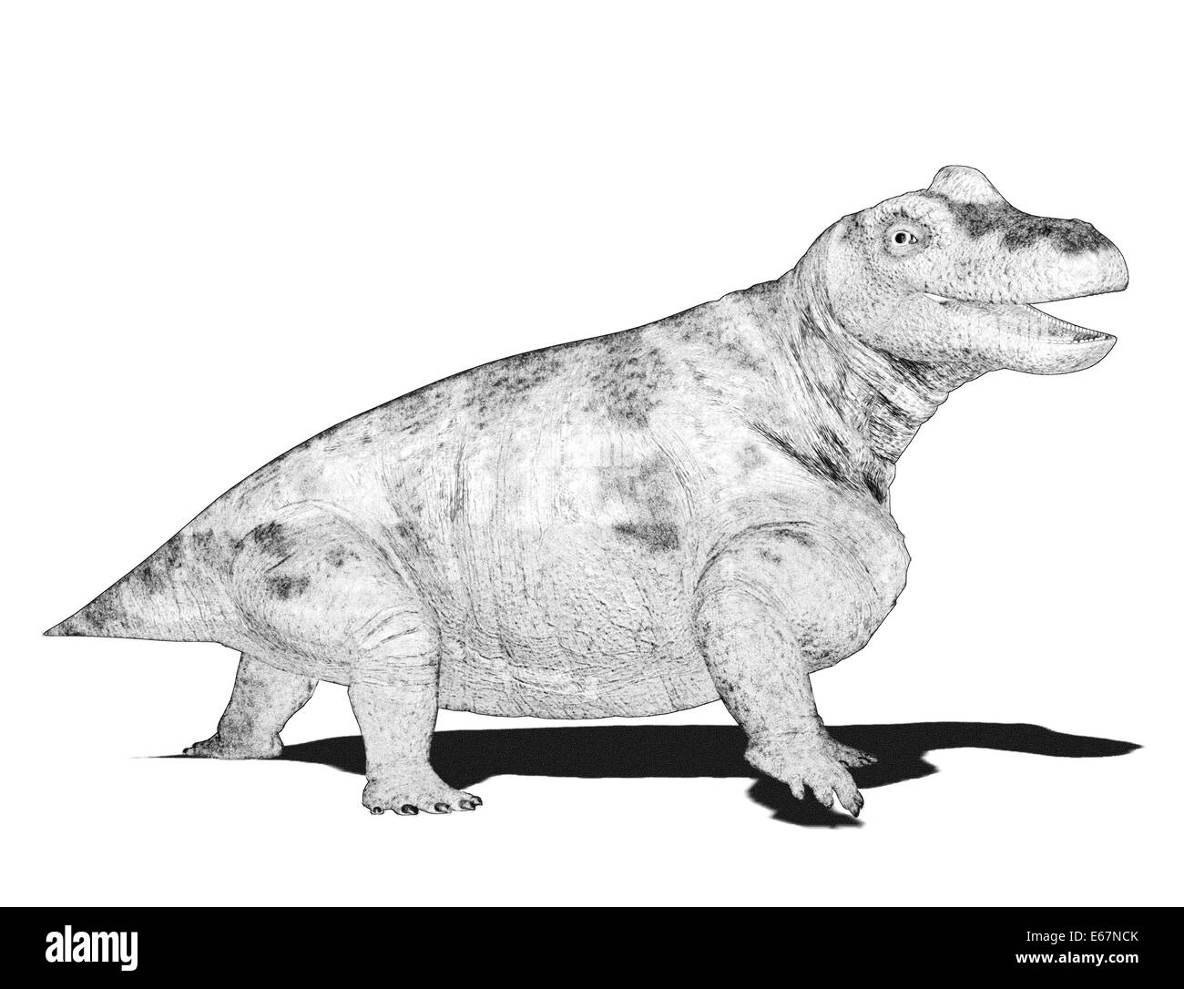 Dinosaurier Keratocephalus / dinosaur Keratocephalus Stock Photo - Alamy
