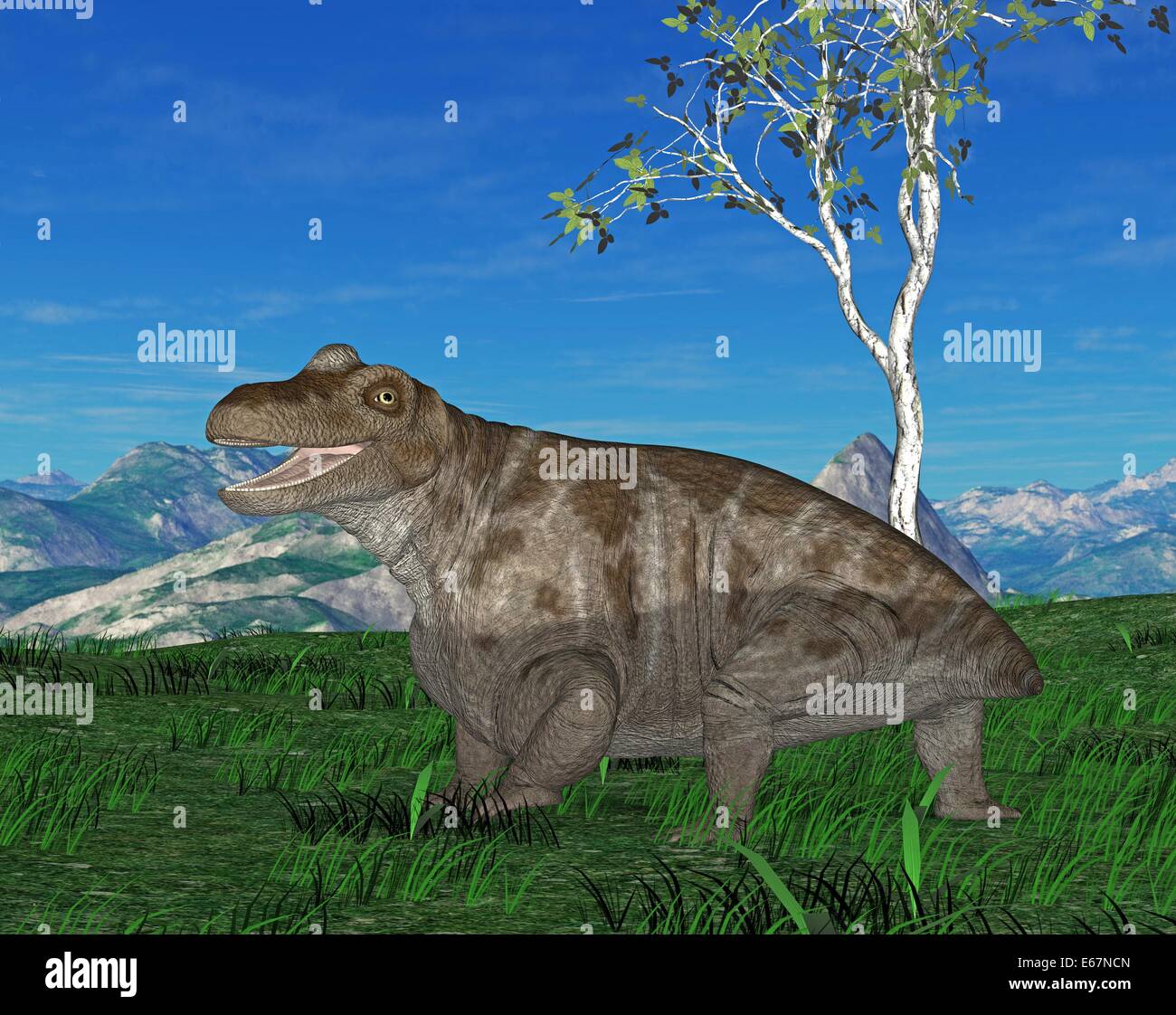 Dinosaurier Keratocephalus / dinosaur Keratocephalus Stock Photo - Alamy