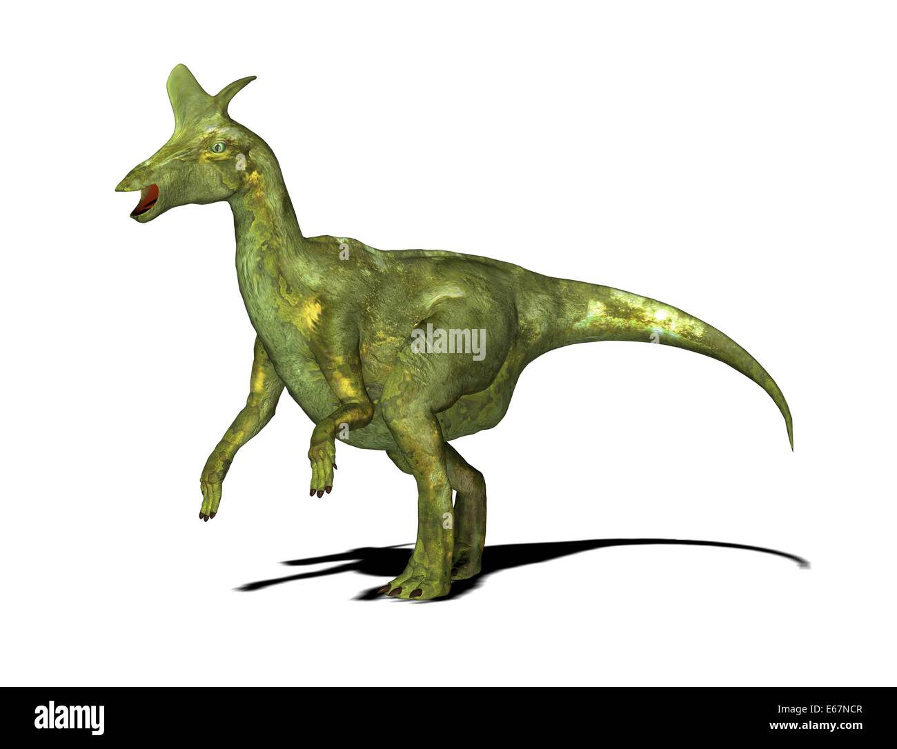 Lambeosaurus hi-res stock photography and images - Alamy