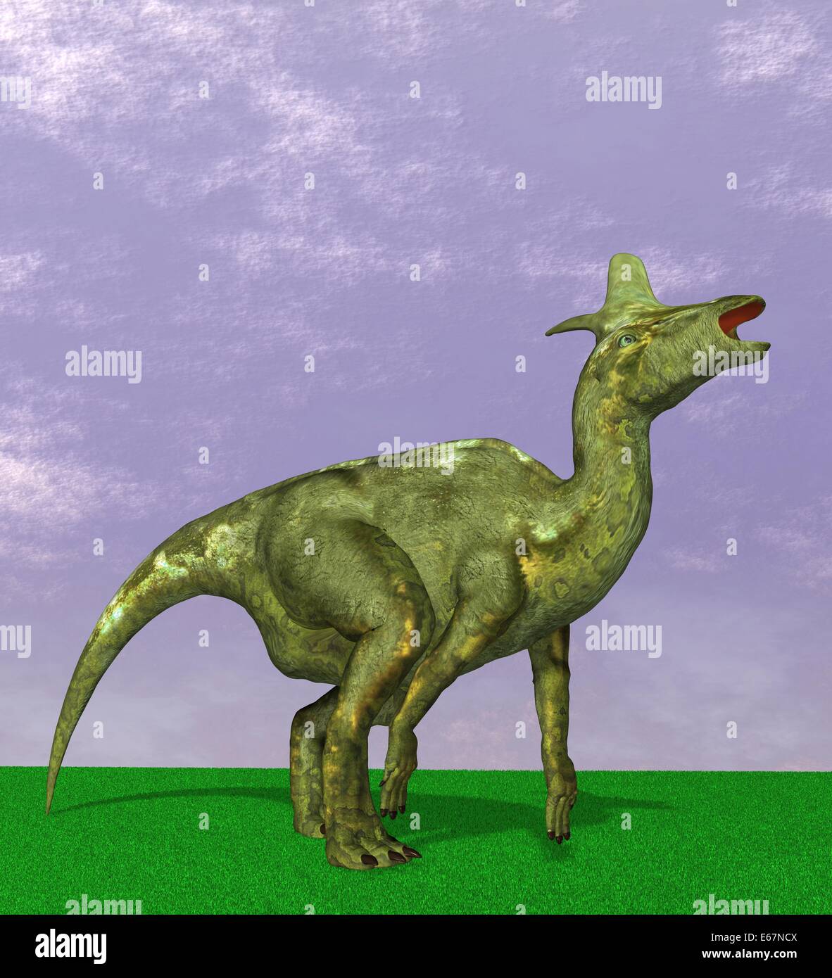 Lambeosaurus hi-res stock photography and images - Alamy