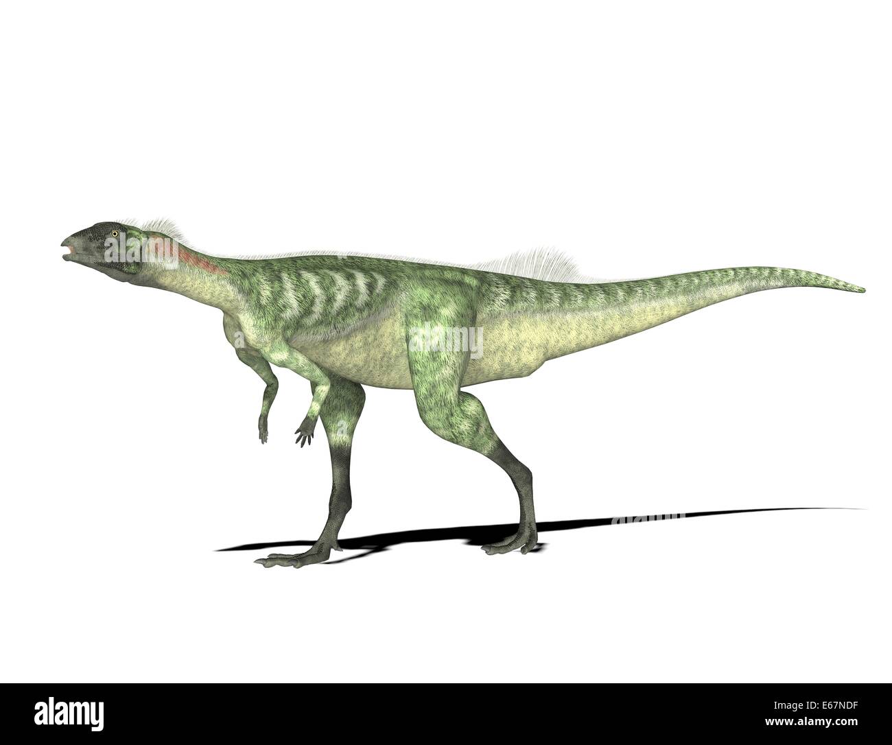 Dinosaurierzug Lesothosaurus