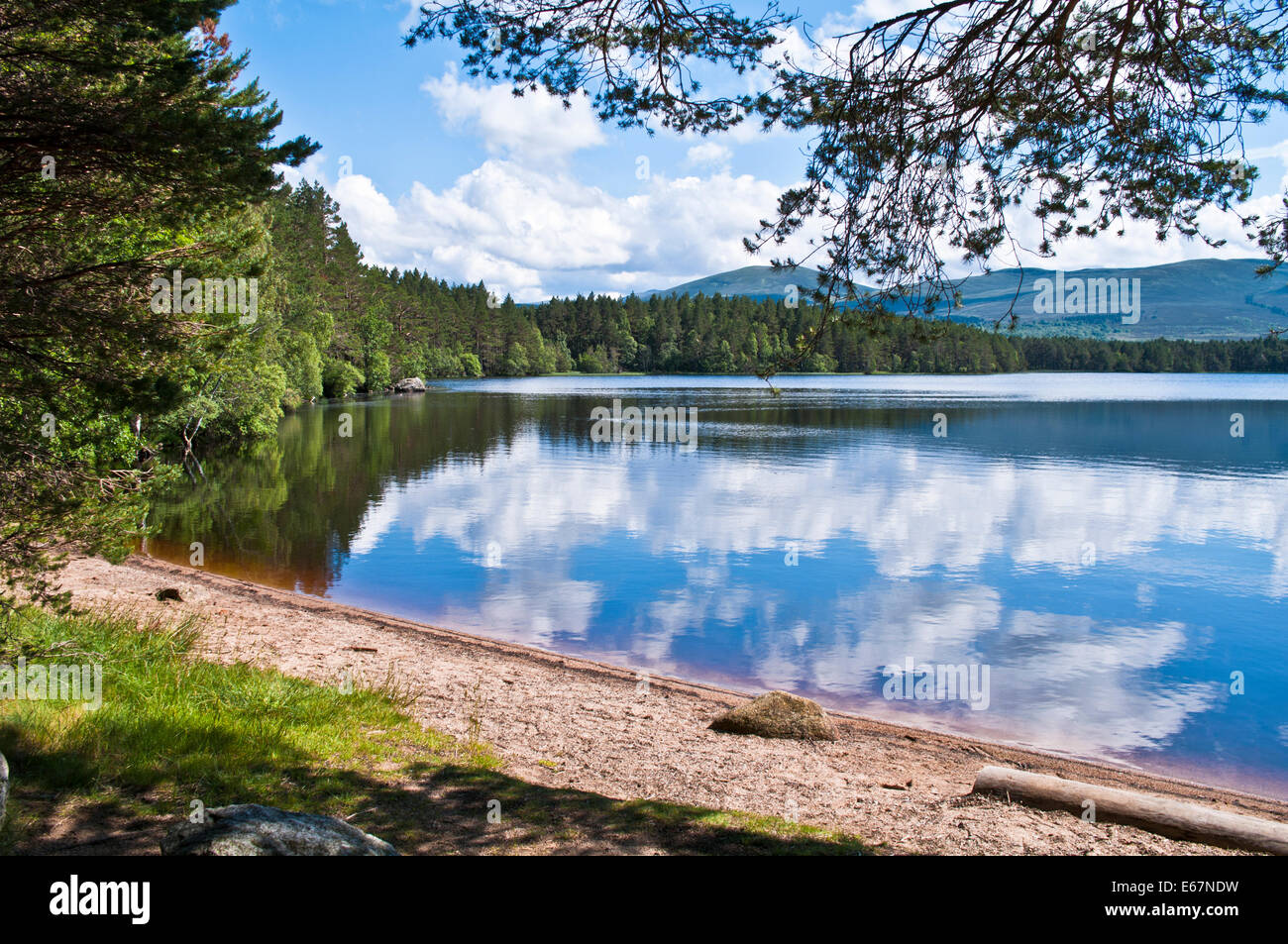 Loch garten scotland hi-res stock photography and images - Alamy
