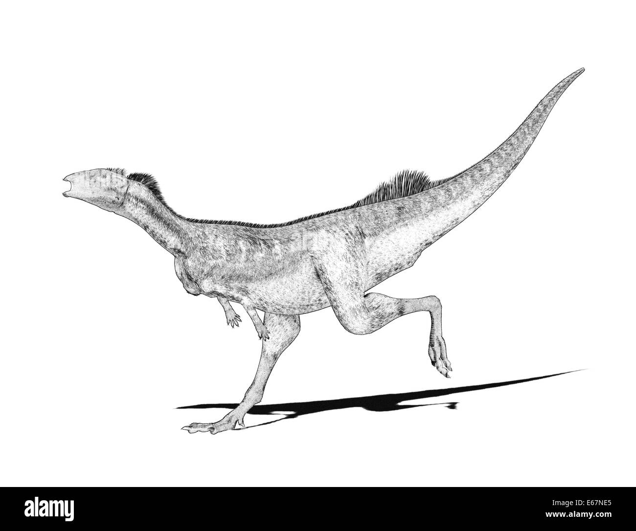Dinosaurier Lesothosaurus / dinosaur Lesothosaurus Stock Photo - Alamy