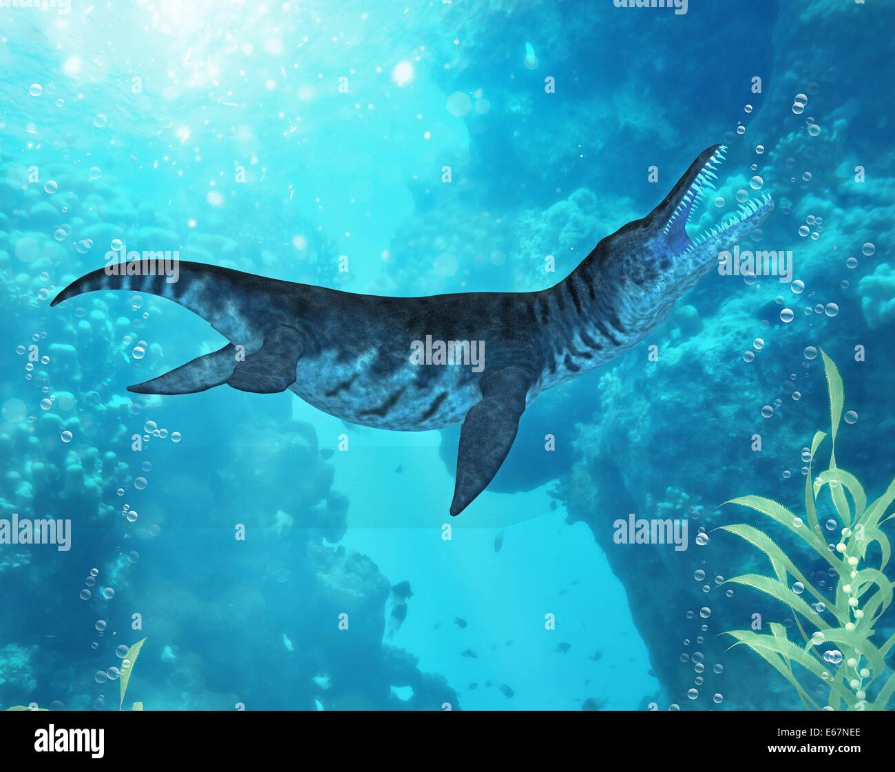 Liopleurodon High Resolution Stock Photography and Images - Alamy