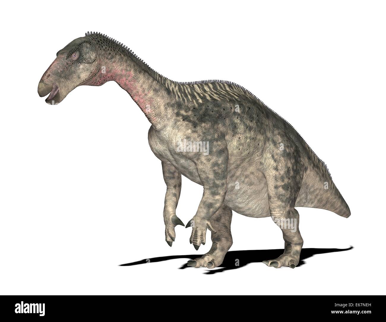 Dinosaurier Lurdusaurus / dinosaur Lurdusaurus Stock Photo - Alamy