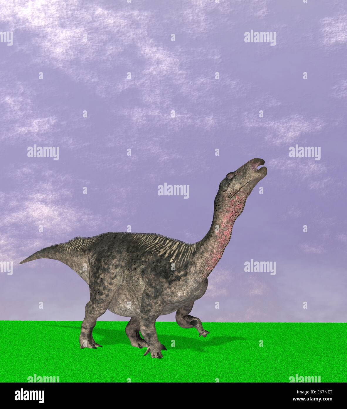 Lurdusaurus hi-res stock photography and images - Alamy