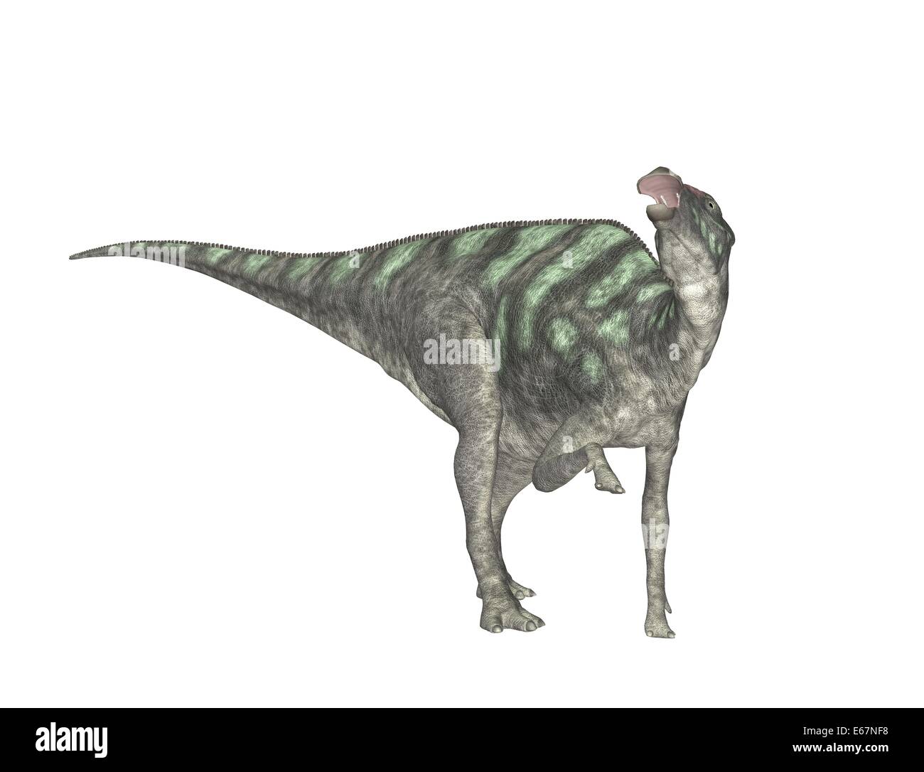 Dinosaurier Maiasaura / dinosaur Maiasaura Stock Photo - Alamy