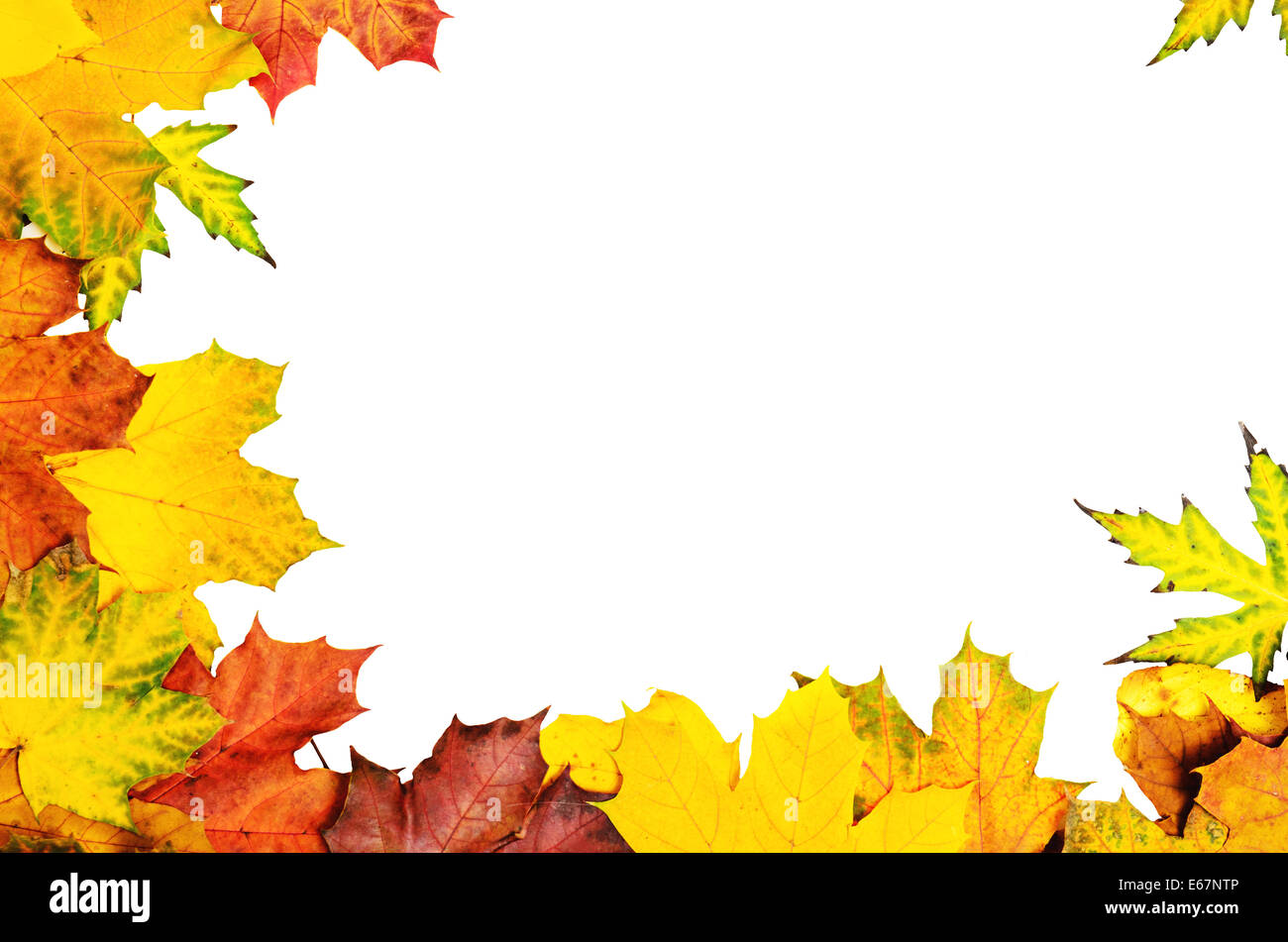 Autumn leaves frame Stock Photo - Alamy