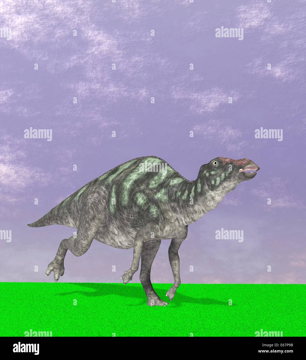 Dinosaurier Maiasaura / dinosaur Maiasaura Stock Photo - Alamy