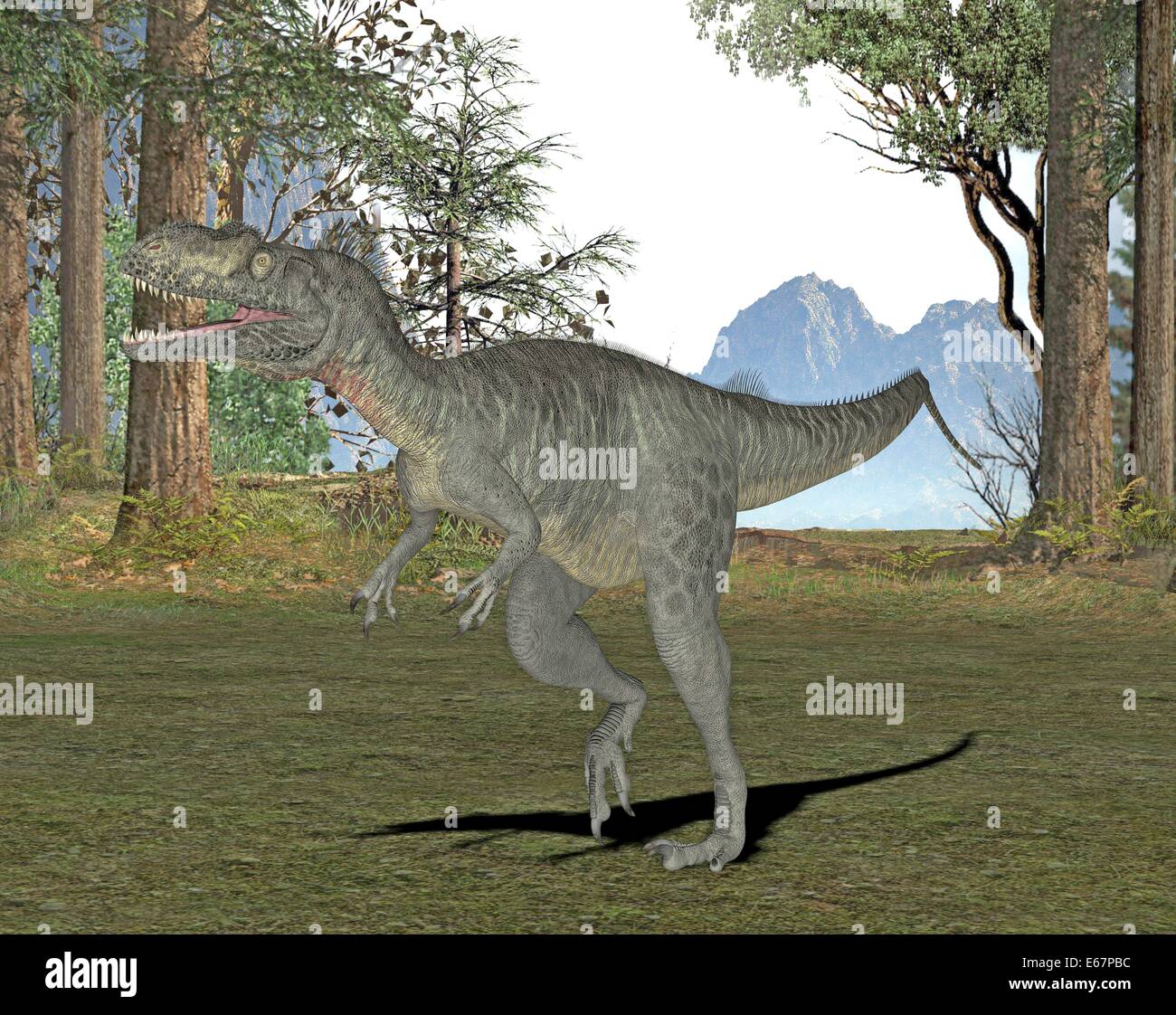 Dinosaurier Megalosaurus / dinosaur Megalosaurus Stock Photo - Alamy