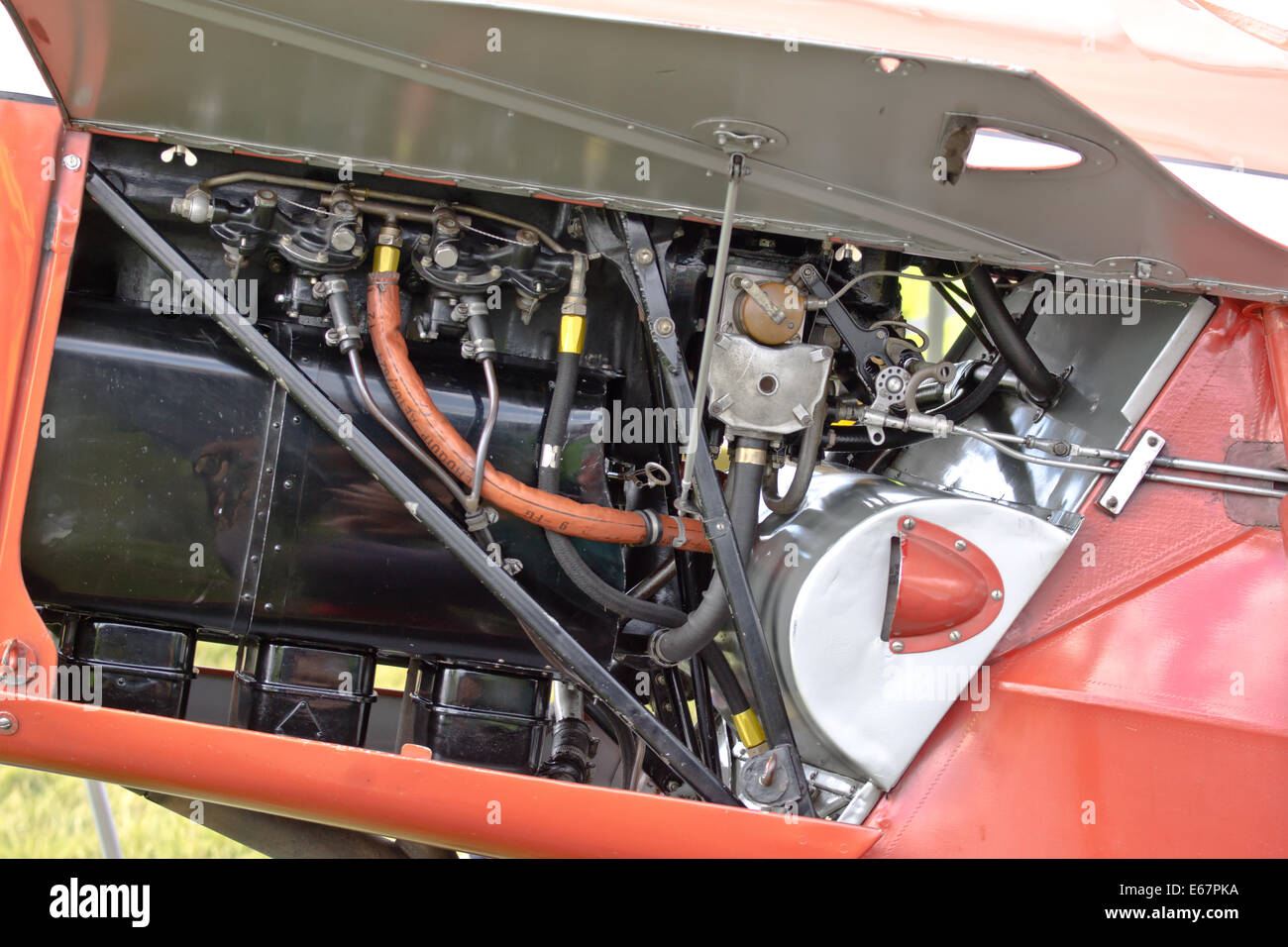 29th international Moth Rally at Woburn Abbey UK.Close up of a Tiger ...