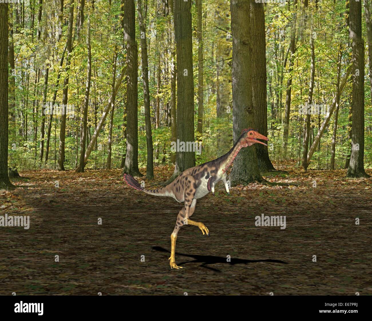 Dinosaurier Mononykus / dinosaur Mononykus Stock Photo - Alamy