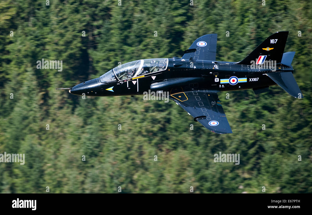The Hawk first entered service with the RAF in 1976, both as an ...
